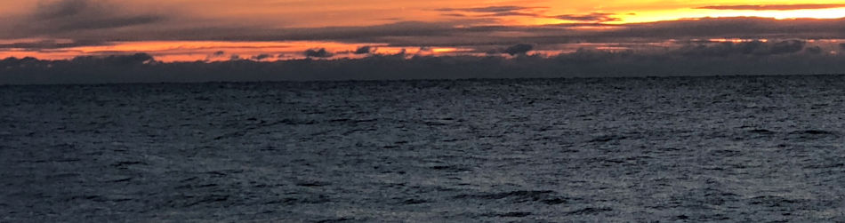 Image1 – William Ricci